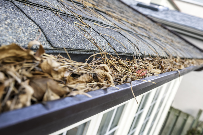 Caring For Your Gutters During The Summer To Prepare For Fall | Baker ...